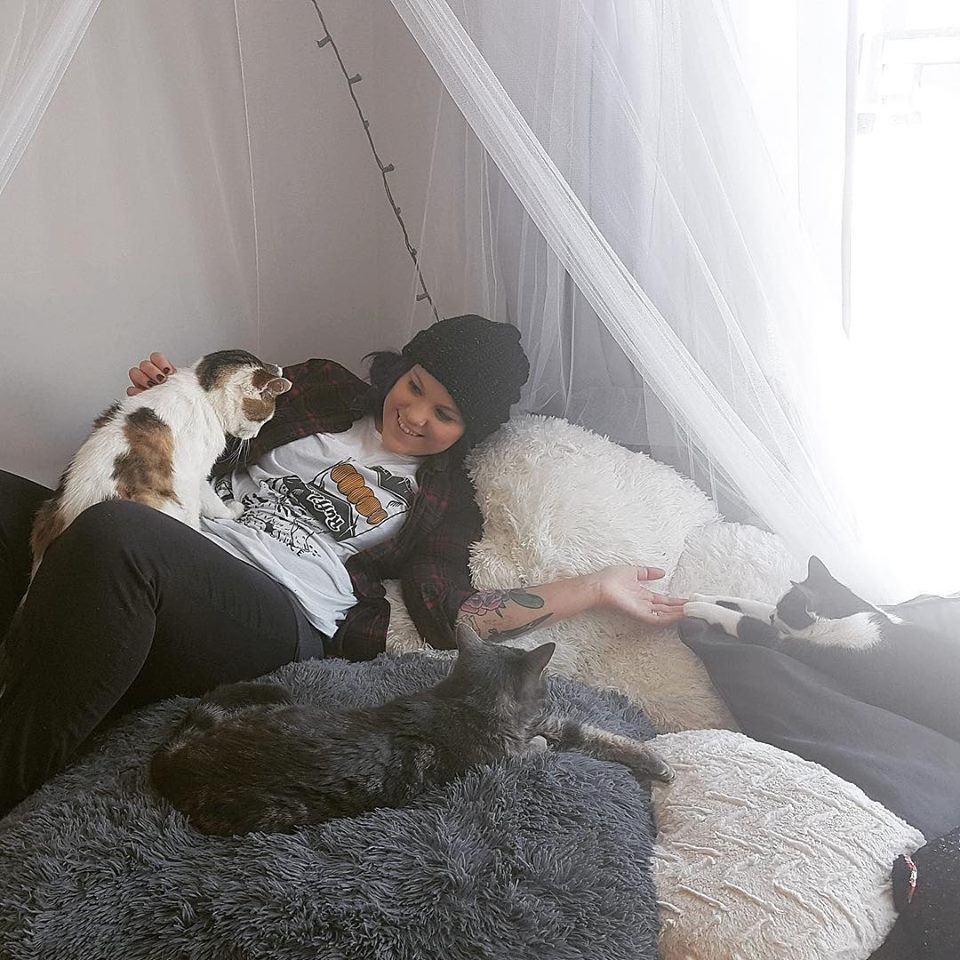 About – Saskatchewan's Cat Cafe